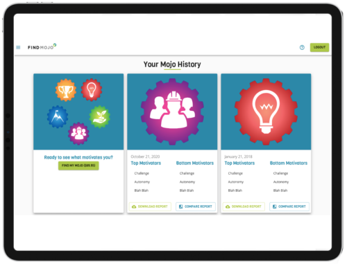 The Motivators Assessment - Premium Edition - FindMojo