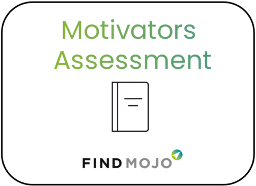 The Motivators Assessment | FindMojo