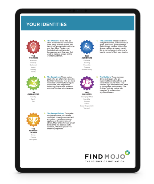 The Motivators Assessment - Premium Edition - FindMojo