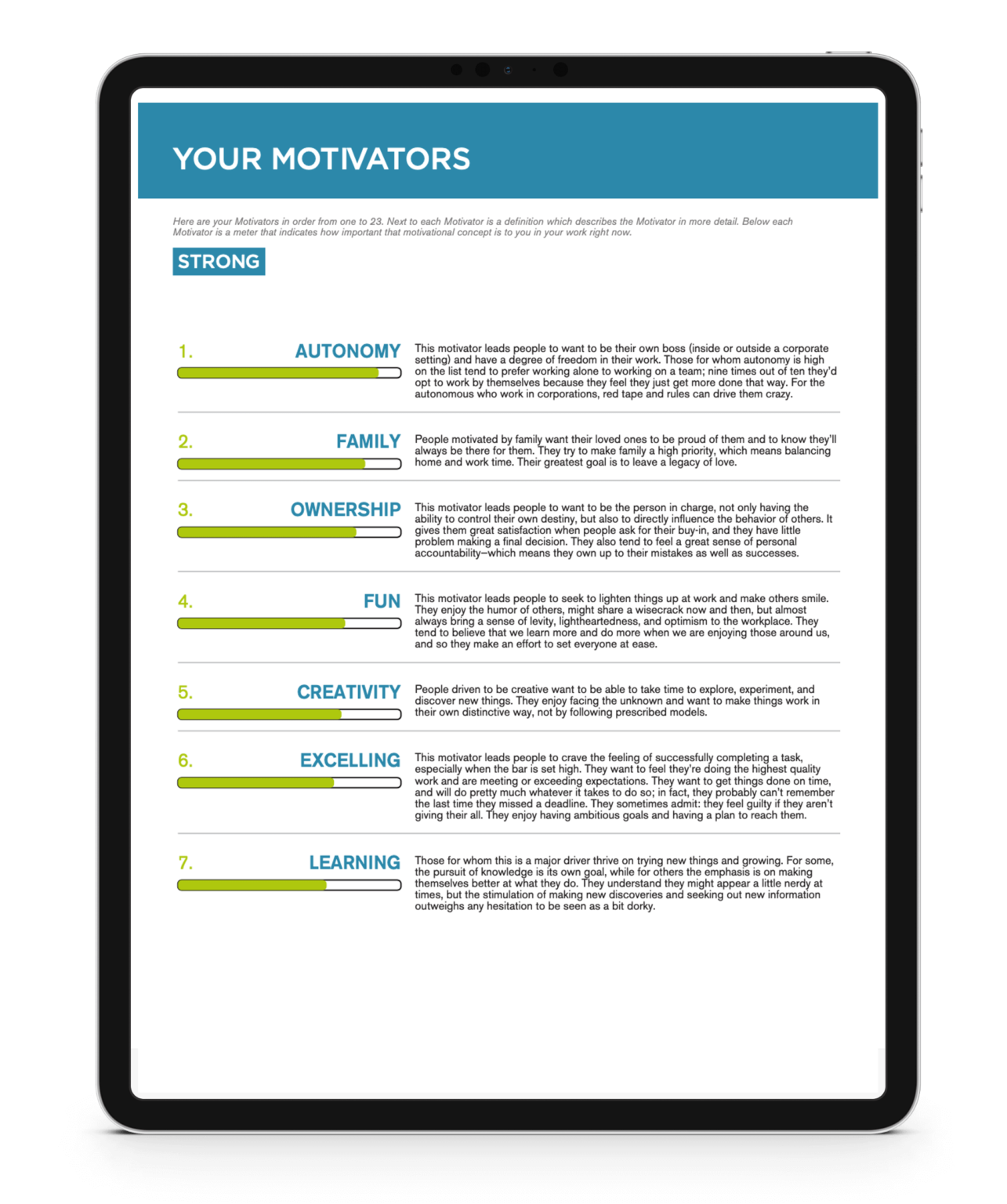 Motivators Assessment - FindMojo