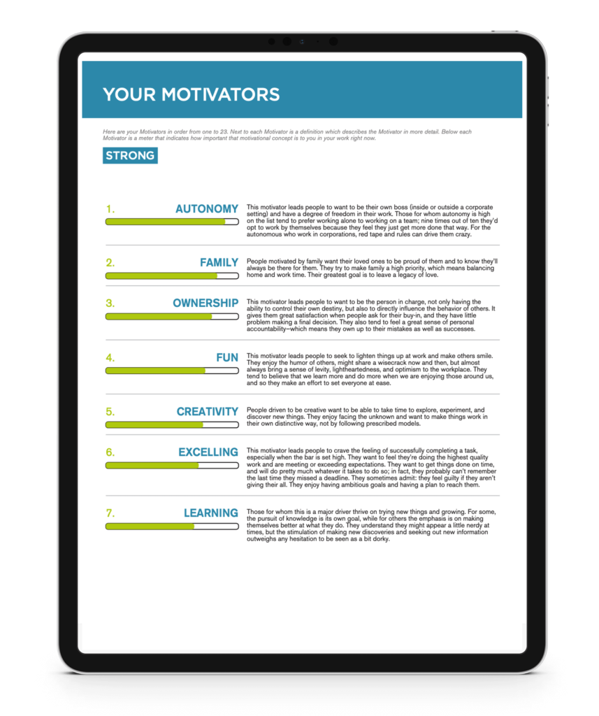 Motivators Assessment - FindMojo